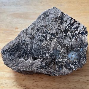 Accents | Rare Natural Palm Root Fossil Stone Slab Rock Crystal | Poshmark